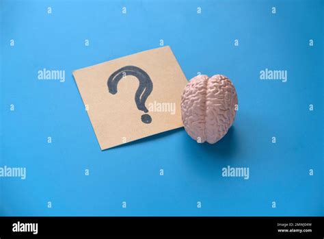Concept Of Problems Solutions Doubts Mind And Mental Activity Brain