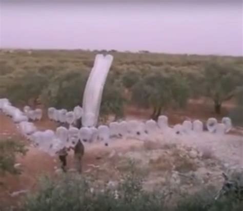 The Cia And Kgb Both Tried To Blackmail This World Leader With Sex