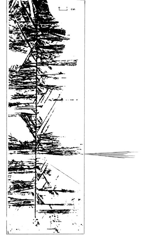 Scan Of Track Of Charged Particle Producing Multiple ‘fan Which Give