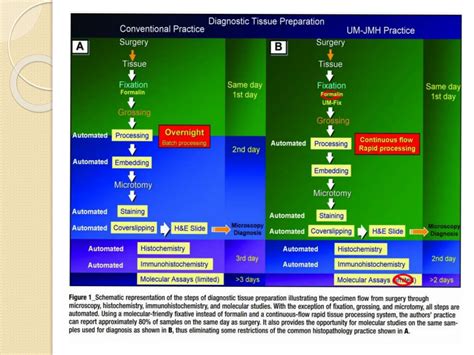 Tissue Processing Introduction Basics Ppt Pptx