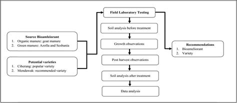 Testing Implementation Stages Download Scientific Diagram