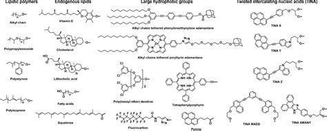 Nucleic Acid Amphiphiles Synthesis Properties And Applications Molecular Therapy Nucleic Acids