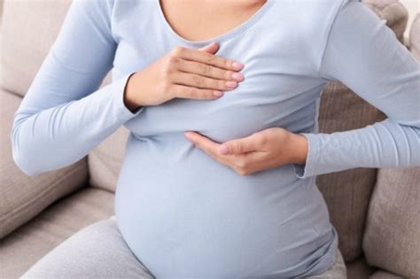 Crecen Los Pezones En El Embarazo Facemama Com