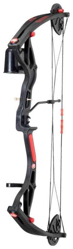 Best Beginner Compound Bows Archery For Beginners