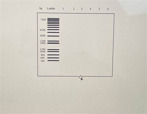 solved hello please only answer part ii i simply gave