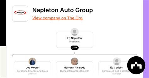 Napleton Auto Group The Org