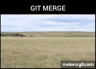 When Git Merge Git Programming Memes On Make A GIF