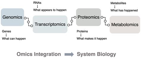 About Bioinformatics Biostatistics And Health Data Science Virginia Tech