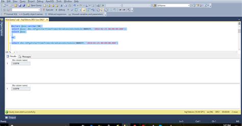 SubsDotNet How To Execute Function To See The Result In SQL