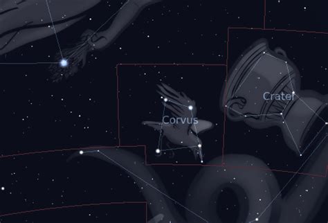 Corvus Constellation