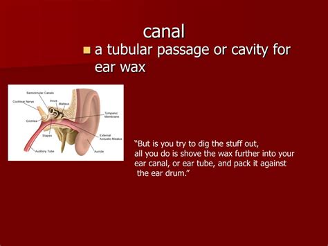 Ppt Ear Wax Powerpoint Presentation Free Download Id 5441894