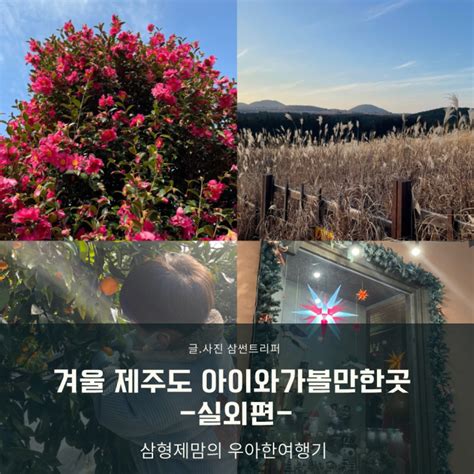 겨울 제주도 아이와 가볼 만한 곳 체험 실외 편 소개해요 네이버 블로그