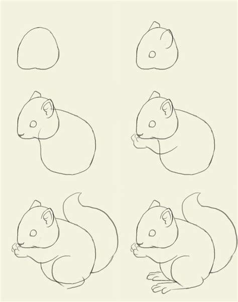 Learn To Master The Sweet And Playful Squirrel Art Artofit