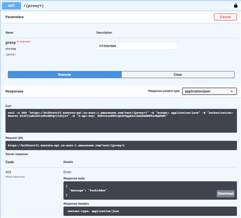 proxy try it out does not properly substitute the proxy path parameter · issue 297 · awslabs