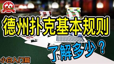 德州扑克基本规则了解多少简要规则简要分析小白入门篇 YouTube