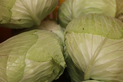 Pesticide Residue Test Results For Organic Cabbage