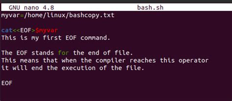 Multiple Ways To Redirect Echo Output To A File In Bash
