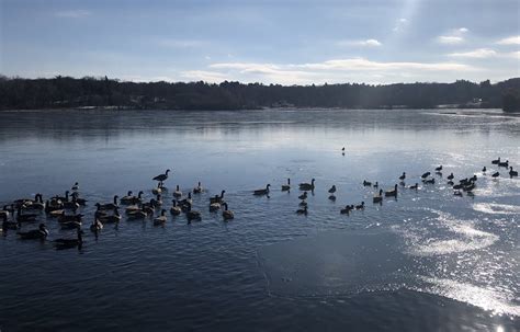 Kate Knuth Kateknuth Twitter