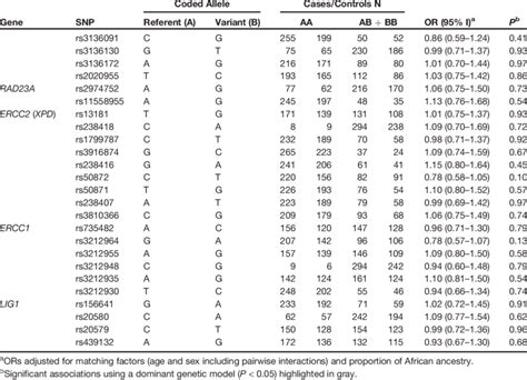 Ors For Snps In Ner Genes And Hnc Using Hierarchical Logistic