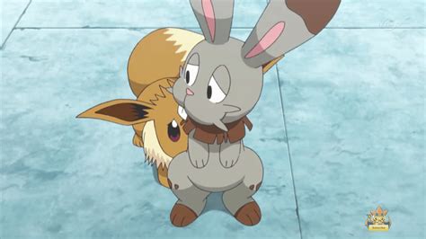 Bunnelby Hd Wallpapers Wallpaper Cave