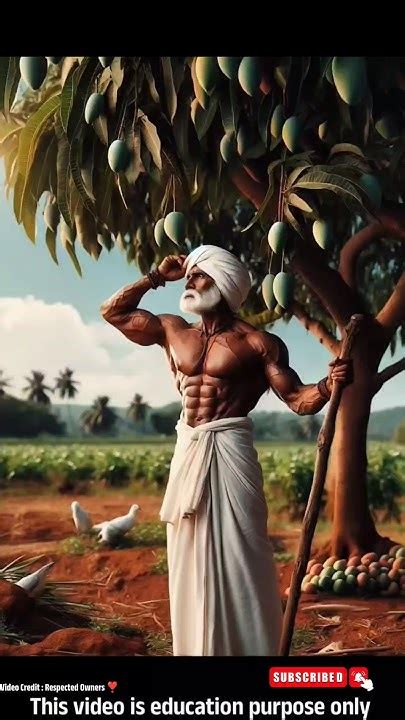 ⚡⚡💥most Interesting Amazing Facts Telugu 901⚡💥⚡ Telugu Viral Trending