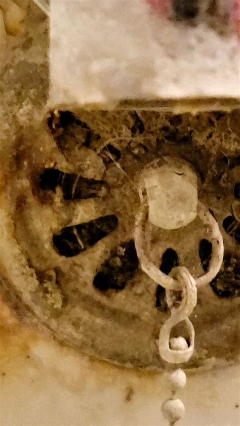 Problematic Overflow On Old Tub Rhowto