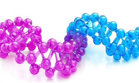 The Molecular Structure Of Human Dna Is A Double Helix Composed Of Nucleotides Which Include