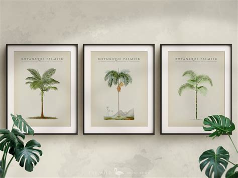 Palm Tree Print Set Botanical Print Set Tropical Palm Print Etsy