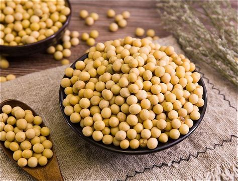 成交提货回升豆粕延续震荡豆粕ETF量能放大 豆粕市场分析 期货方面昨日收盘豆粕2305合约3535元 吨较前日上涨12元涨幅0 34