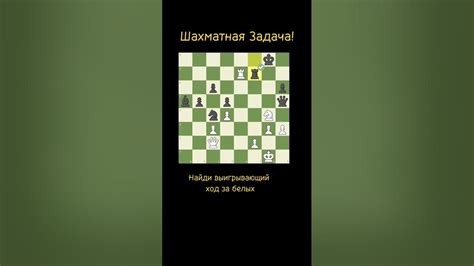 Шахматная Задача шахматы Youtube