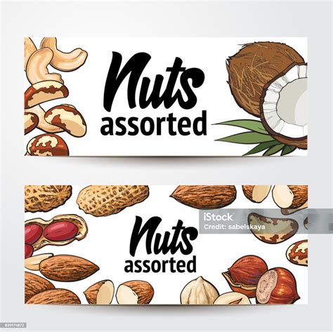 코코넛 캐슈 땅콩 헤 즐 넛 아몬드 브라질 너트와 배너 디자인 0명에 대한 스톡 벡터 아트 및 기타 이미지 0명 갈색 개념 Istock