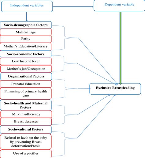 Conceptual And Operational Framework Download Scientific Diagram