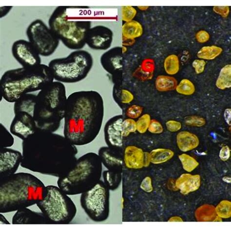 Optical Photomicrographs Of Individual Heavy Minerals Such As Monazite