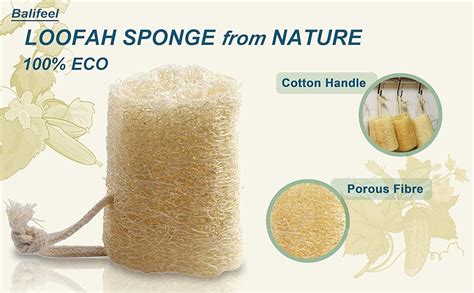 Balifeel Natural Loofah Sponge Organic Loofa Set 6 Pack