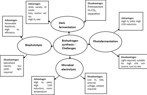 Advantages And Disadvantages Of Biohydrogen Synthesis Methods Download Scientific Diagram