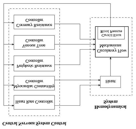 Simplified Diagram Of The Cardiovascular System Model Composed Of The Download Scientific