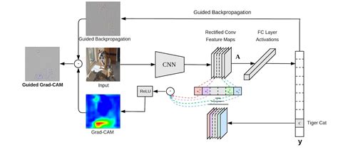Visualizing Cnn Models Through Gradient Weighted Class Activation Mappings Marktechpost