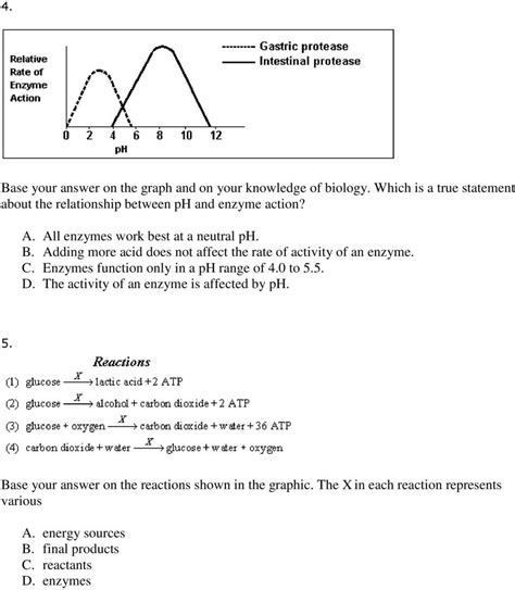 Enzymes Practice Questions 1 Pdf — Db