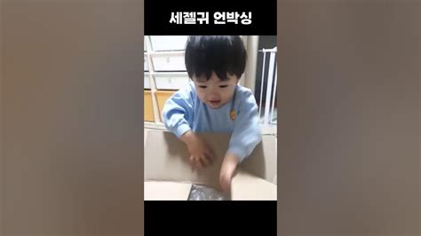 장난감 사줄 맛 나는 리액션 찐 맛집 Shorts 힐링영상 조카바보 26개월 귀요미 선물 중장비최고 Youtube