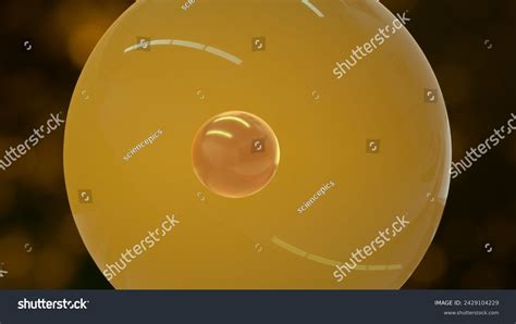 Microspore Mother Cell 3d Illustration Stock Illustration 2429104229 Shutterstock