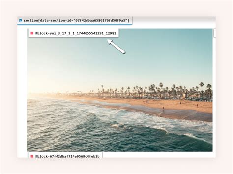 How To Create A Shrink On Hover Effect With Fade In Text In Squarespace Css Included — Jessica