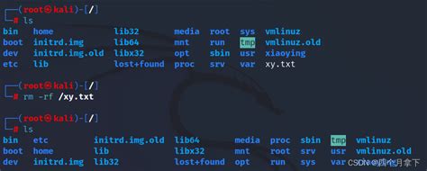 linux——kali系统简介及命令 kali linux csdn博客