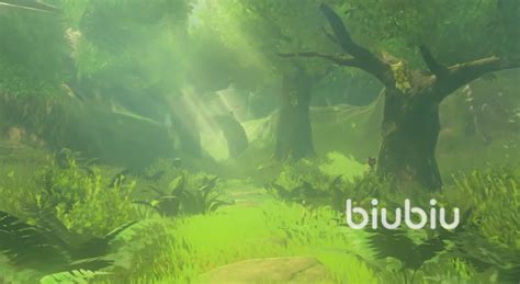 塞尔达传说王国之泪矿洞采蘑菇任务怎么做 王国之泪采蘑菇任务详解攻略 Biubiu加速器