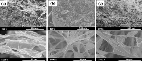 Figure 11 From Synthesis Of Sic Nanowires On Biochar Surfaces By A