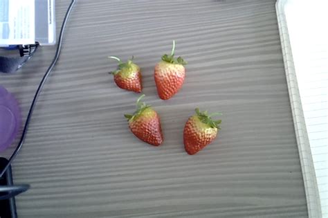Strawberry Detection Roboflow Universe