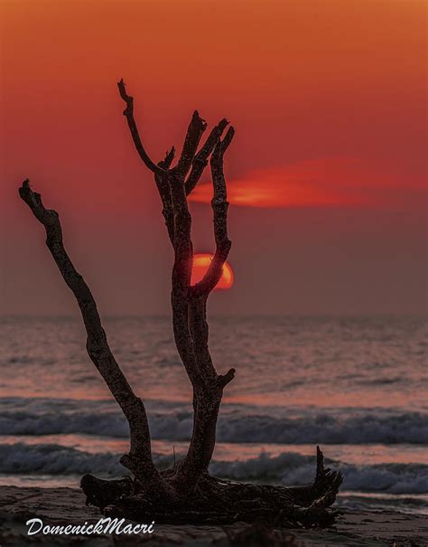 Sunrise Photograph By Domenico Macri Fine Art America