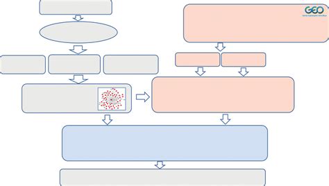 A Pipeline For Reconstructing A Regulatory Gene Network Describing The