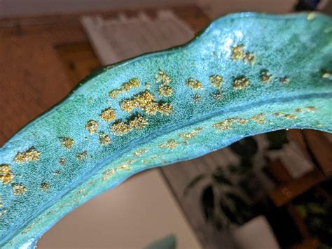 2 Month Update Microsorum Thailandicum Grown From Spores The Prothalli Have Increased In Size