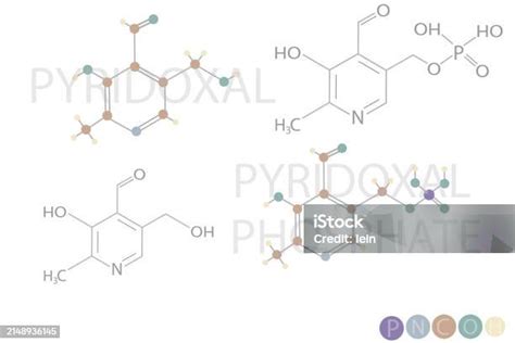 Pyridoxal Phosphate Molecular Skeletal Chemical Formula Stock Illustration Download Image Now