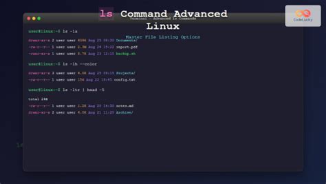 Cd Command Linux Complete Guide To Directory Navigation In Terminal